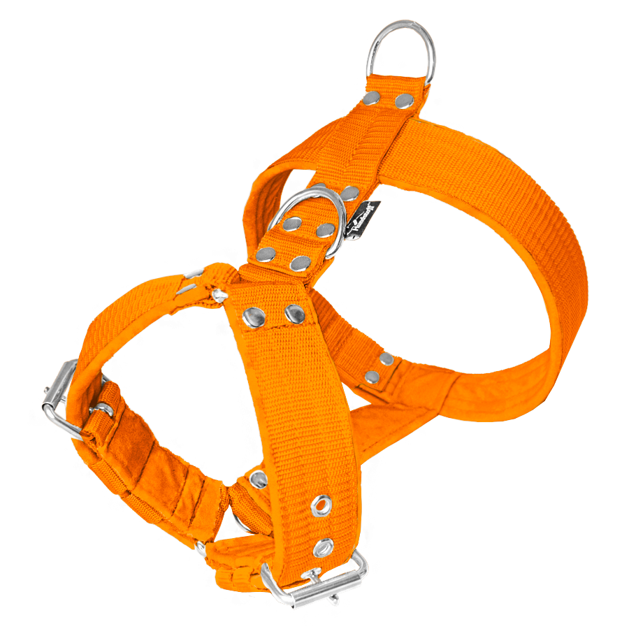 Easy Walk Orange - Sele med handtag