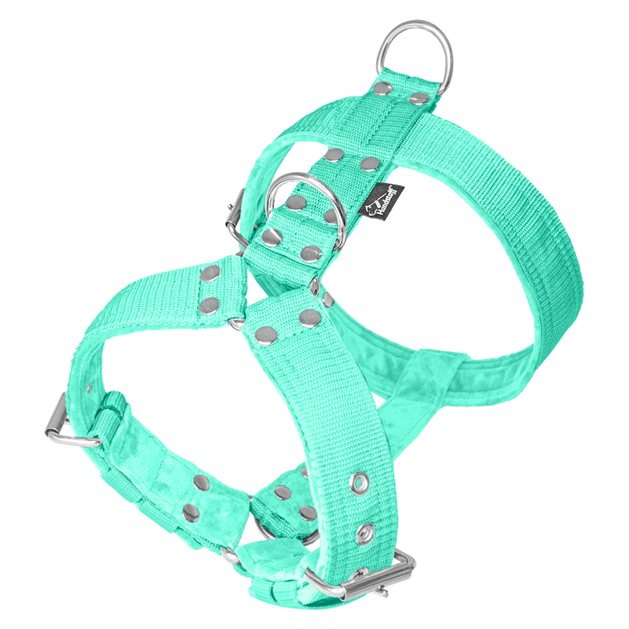 Easy Walk Mint - Sele med handtag